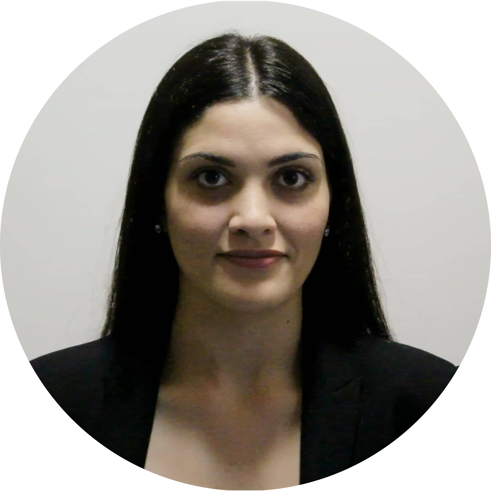 The Team – SeismicPRECAST